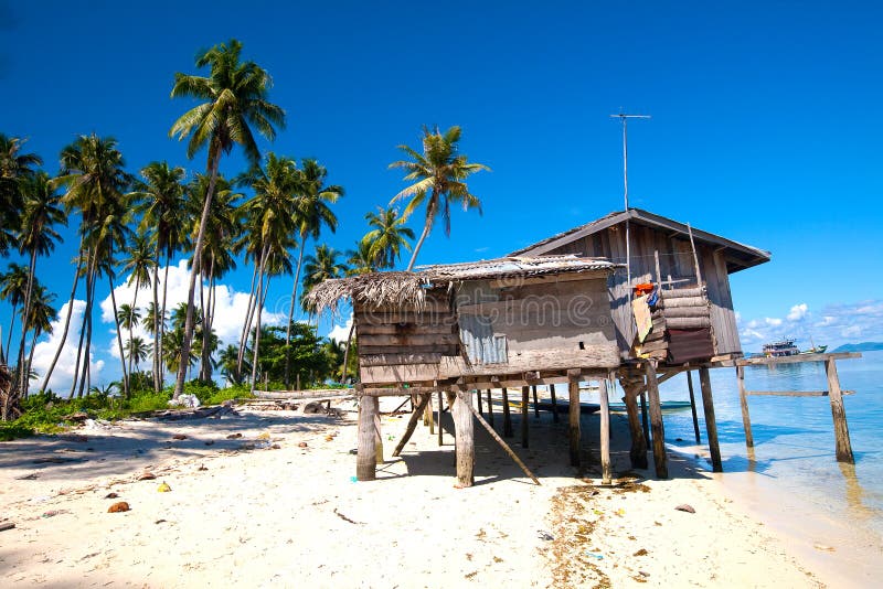 Het Bosjeeiland Van De Kokosnoot in De Keerkringen Stock Foto - Image ...