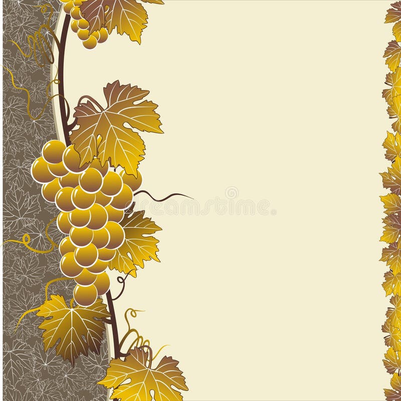 Het Bruine Frame Van De Wijnstok Vector Illustratie - Illustration of ...