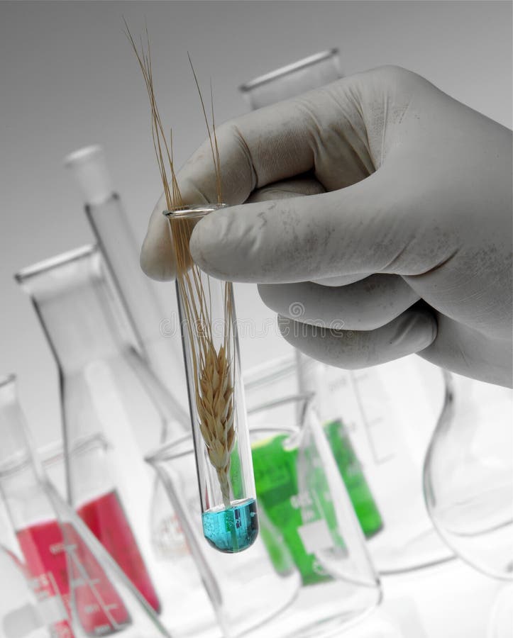 Het Concept Van De Biotechnologie Stock Foto - Image of controle, glas ...