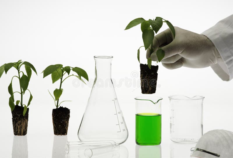 Het Concept Van De Biotechnologie Stock Foto - Image of groen, medisch ...