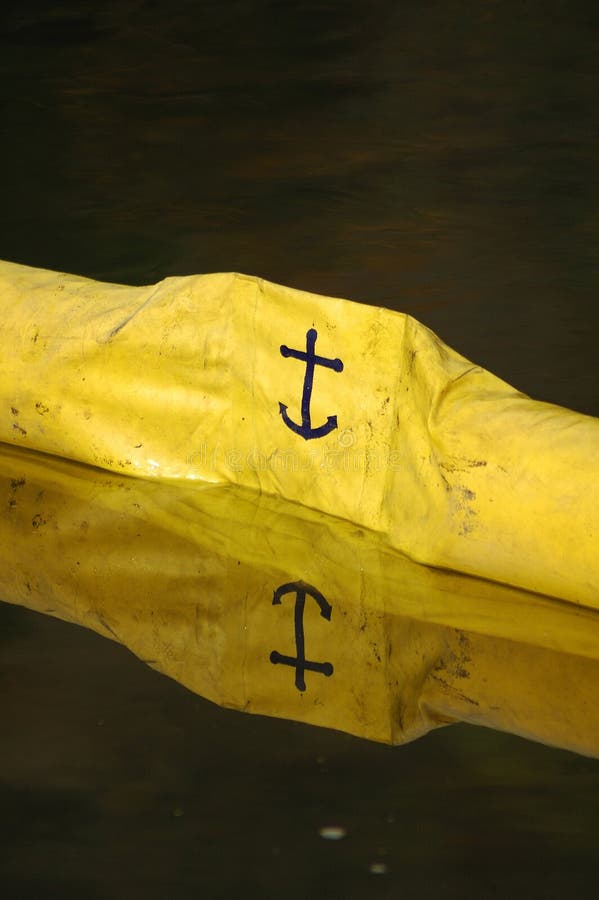 Het Detail Van De Boom Van De Insluiting Stock Afbeelding - Image of ...