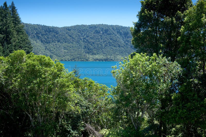 Het District Van De Meren Van Rotorua Stock Foto - Image of zilver ...
