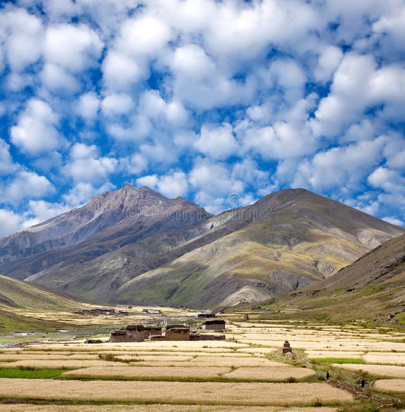 Het Dorp Van Tarap Van Dho in Dolpo, Nepal Stock Afbeelding - Image of ...