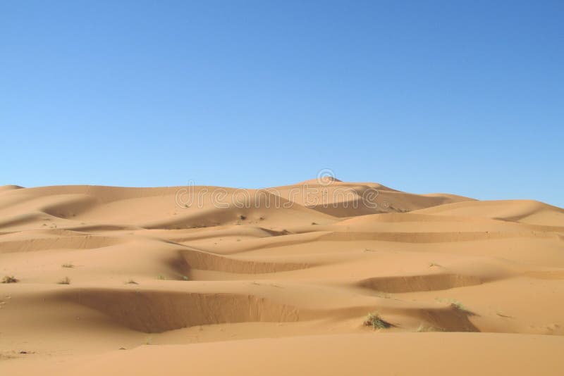 De Duinen Van De Zandwoestijn En Groene Oase Stock Foto - Image of ...