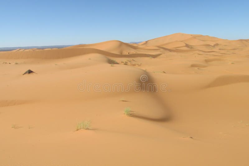 Het Duin Van De Zandwoestijn in De Sahara Stock Afbeelding - Image of ...