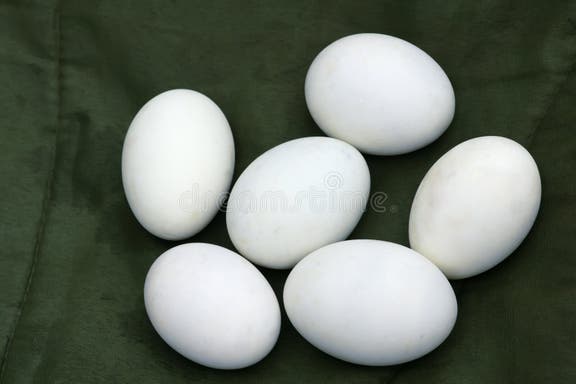 Eendenei stock afbeelding. Image of voedsel, sluit, ellips - 21071439