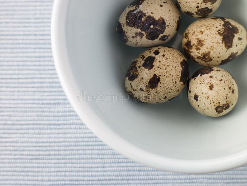 Kwartel ei stock afbeelding. Image of vers, gezond, mensen - 7230229