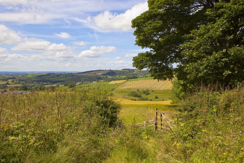 Het Engelse Landschap Van De Zomer Stock Afbeelding - Image of ...