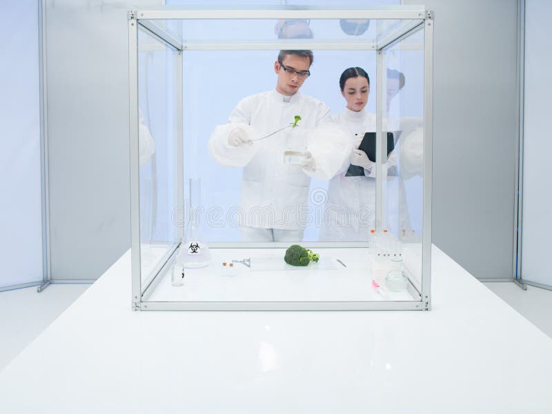 Het Experimenteren Met Groente in Beschermende Bijlage Stock Afbeelding ...