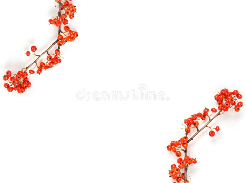 Kersttak met rode bessen stock afbeelding. Image of decoratief - 22685429
