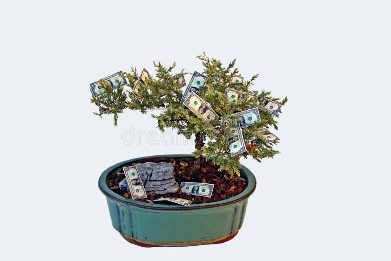 Het geld groeit op Bomen? stock foto. Image of groei, één - 21778