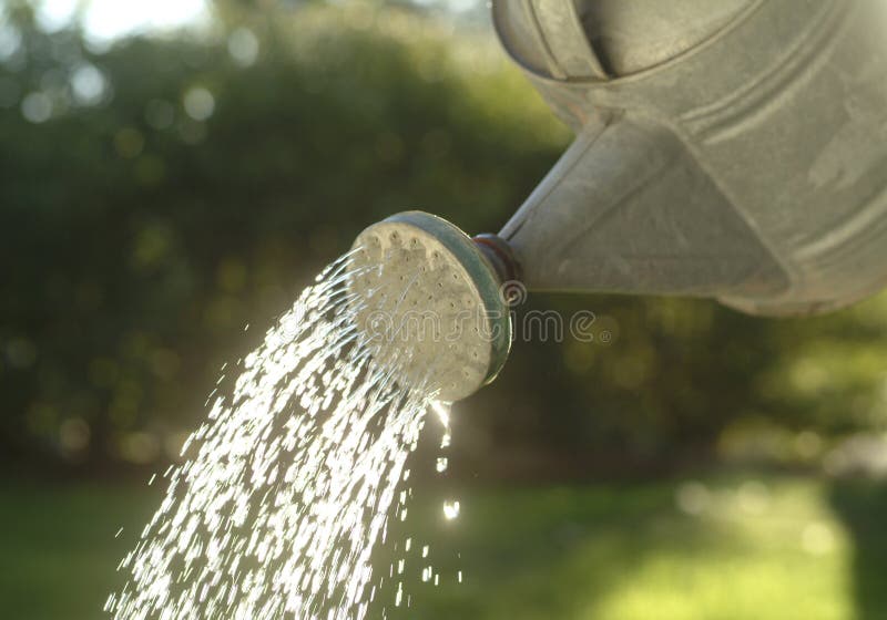 Het Gietende Water Van De Gieter Stock Foto - Image of tuinen, buiten ...