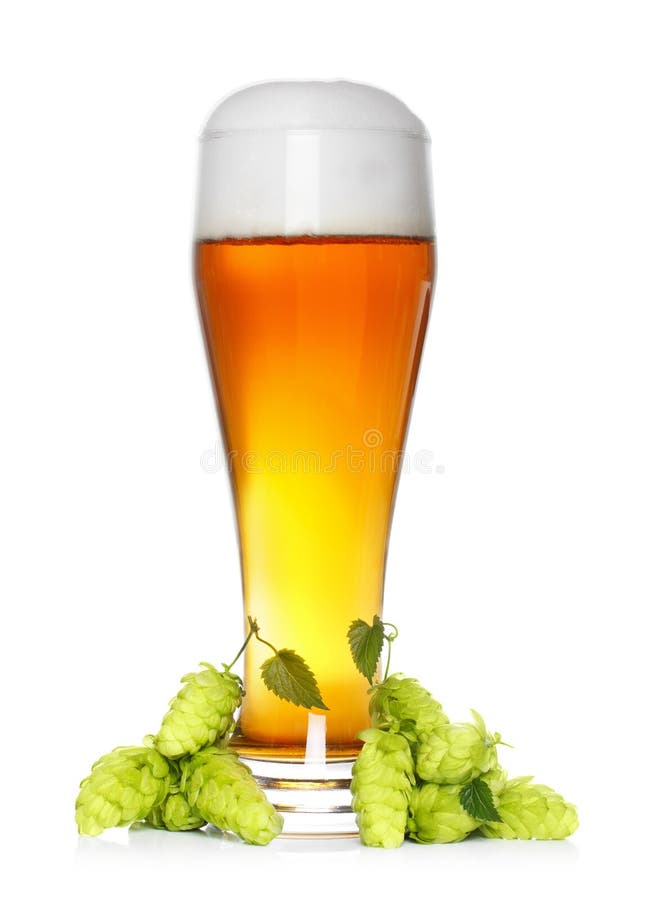 Het Glas Van Het Bier Met Hop Stock Afbeelding - Image of schuim ...