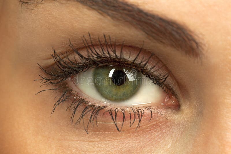 Het Groene Oog Van De Vrouw `s Stock Foto - Image of zweep, sluit: 19612130