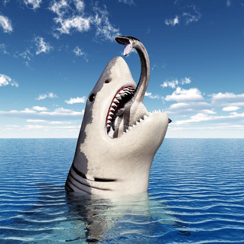 Het grote Witte Haai Eten stock illustratie. Illustration of groot ...