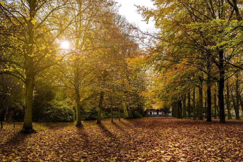 Vensters Van Het Frame Huis Van Het Hout Stock Afbeelding - Image of frankrijk, traditioneel ...