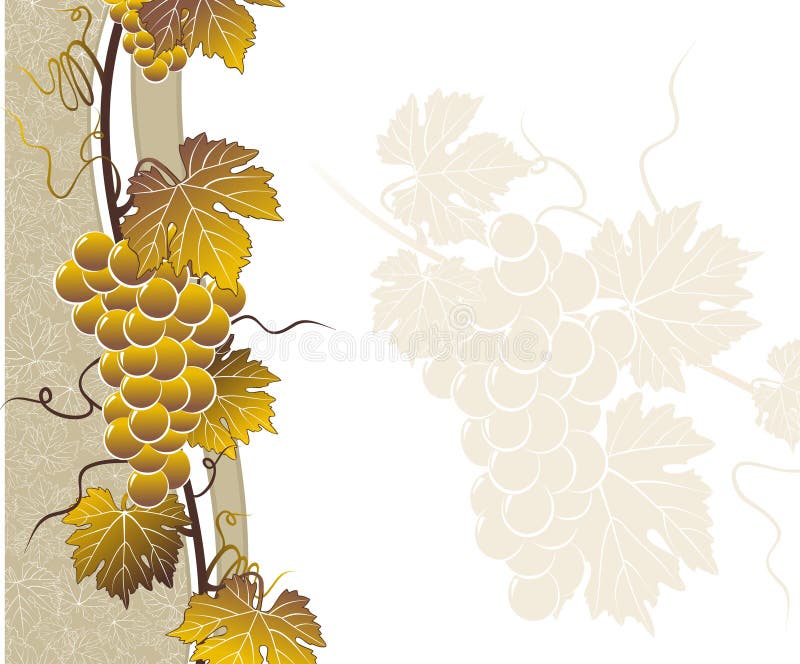 Het Het Bruine Frame En Malplaatje Van De Wijnstok Vector Illustratie ...