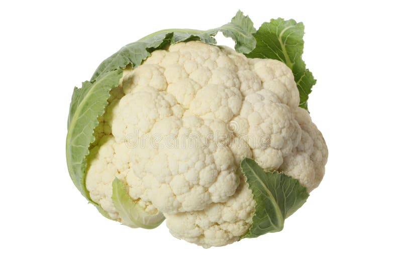 Het hoofd van de bloemkool stock afbeelding. Image of hoofd - 10116329