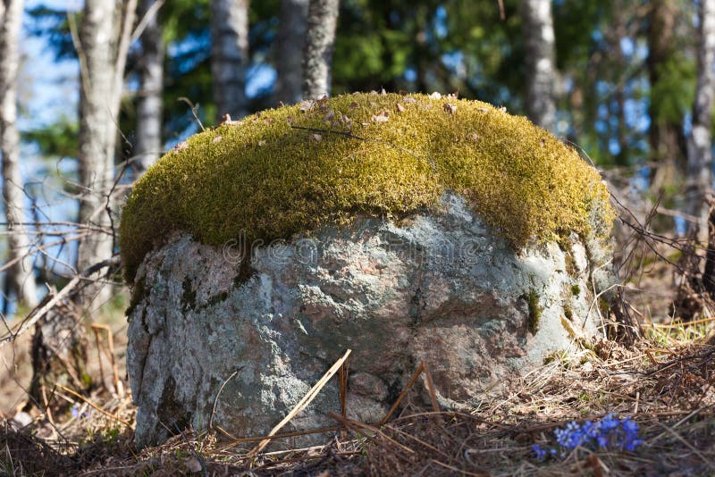 Het hoofd van de steen stock afbeelding. Image of zonlicht - 24642281