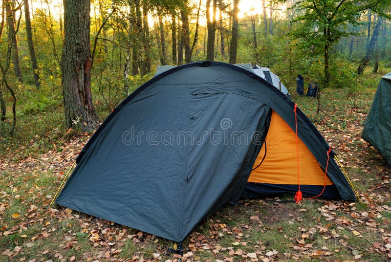 Het Kamperen Tent in Bos En Zon Stock Afbeelding - Image of bomen ...