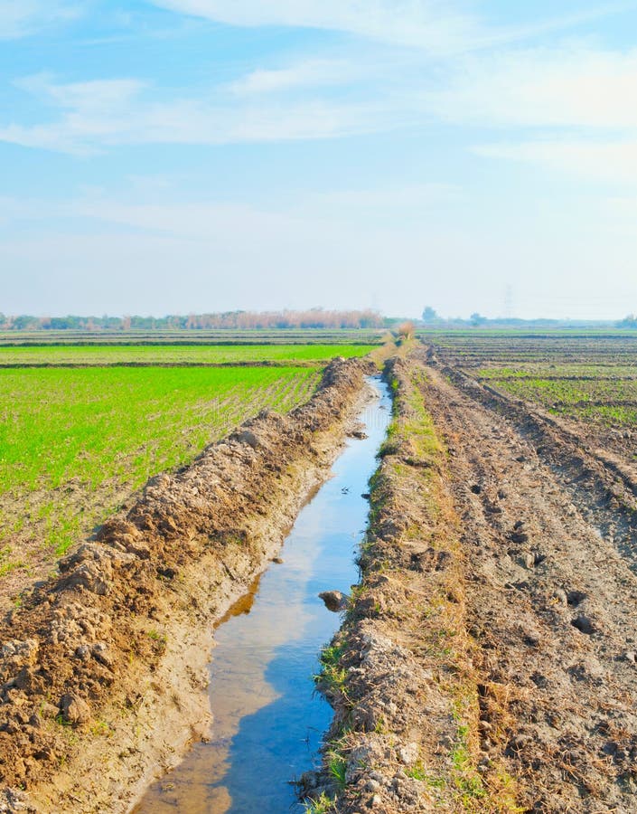 Het Kanaal Van De Irrigatie Stock Afbeelding - Image of landbouw, lang ...
