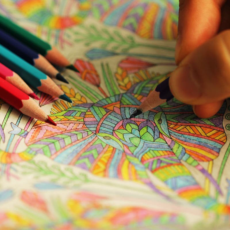 Het Kleurende Boek Met Potloden Stock Afbeelding - Image of kleuring ...