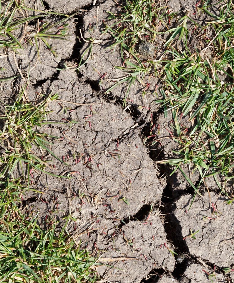 Het land van de droogte stock afbeelding. Image of aarde - 27173321
