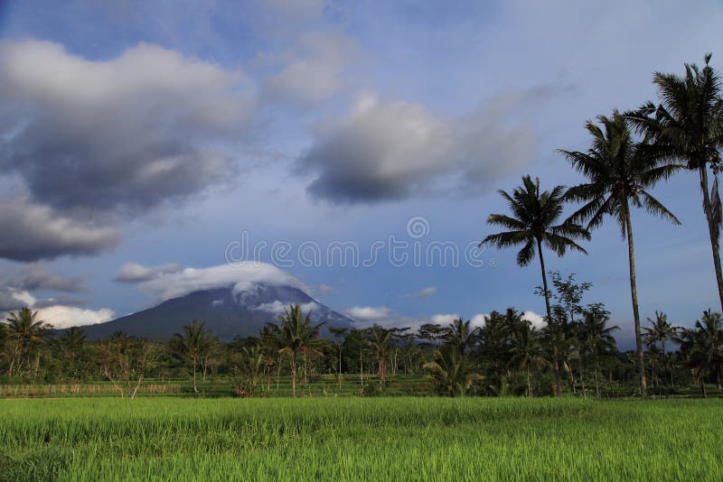 Het Landschap Van De Merapivulkaan, Java, Indonesië Stock Afbeelding ...