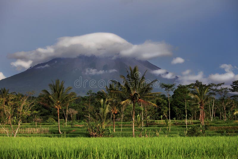 Het Landschap Van De Merapivulkaan, Java, Indonesië Stock Afbeelding ...