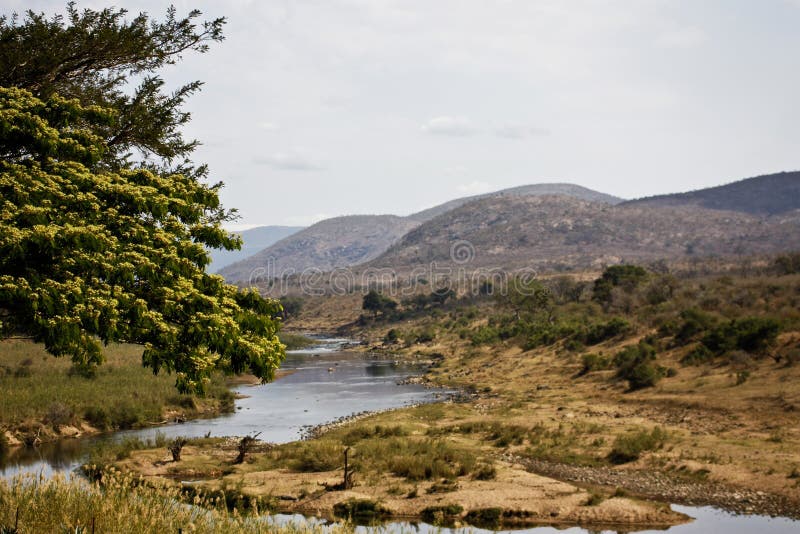 Het Landschap Van De Rivier Van De Krokodil Stock Foto - Image of ...