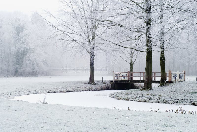 Typisch Landelijk Nederlands Landschap in De Winter Stock Afbeelding ...