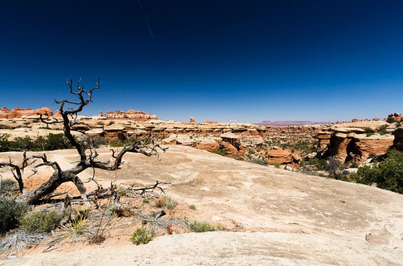 Het Landschap Van De Woestijn Stock Foto - Image of openlucht ...