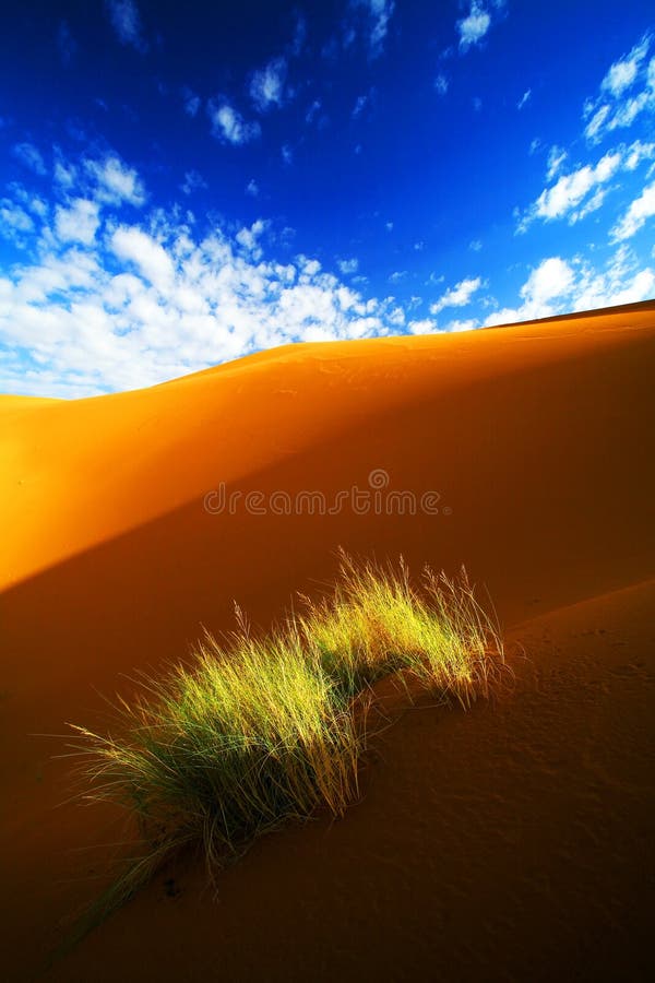 Het Landschap Van De Woestijn Stock Afbeelding - Image of zand, hemel ...