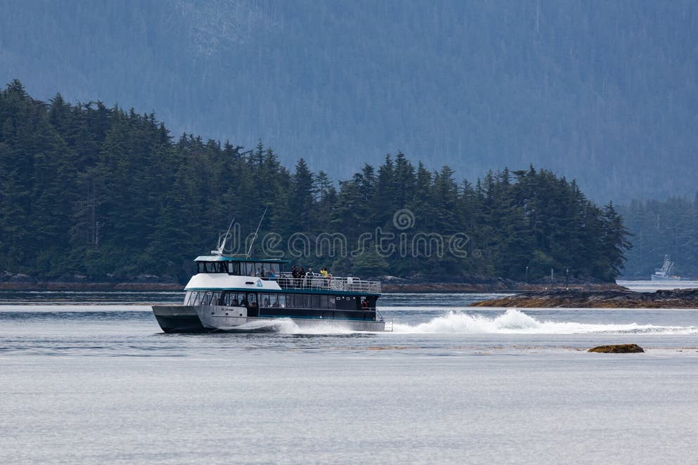 Het Letten Op Van De Walvis Boot Redactionele Stock Afbeelding - Image ...