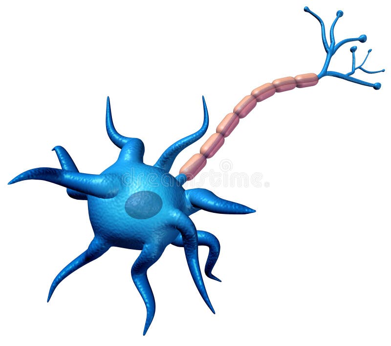 De Synaps van de zenuwcel stock illustratie. Illustration of synaptisch ...