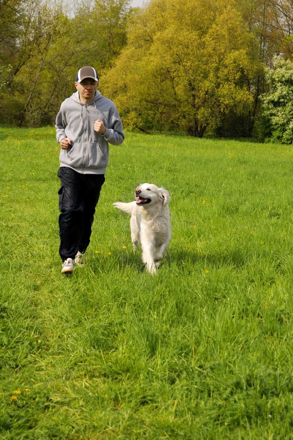 Met de hond rennen stock afbeelding. Image of looppas - 5040449