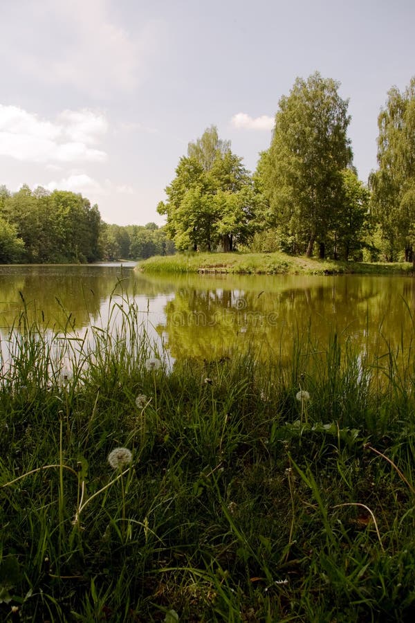 Het meer in bos stock foto. Image of schoonheid, groen - 12799676