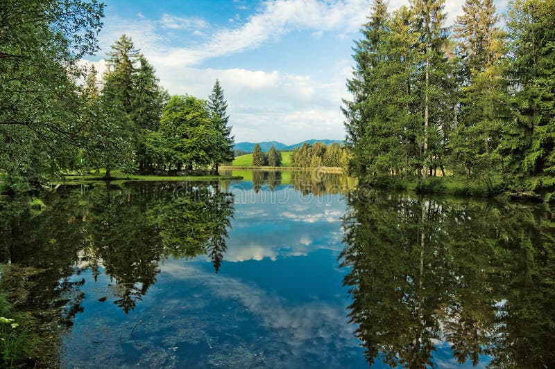 Het Meer Van Alpen En Wild Bos Stock Afbeelding - Image of trillend ...