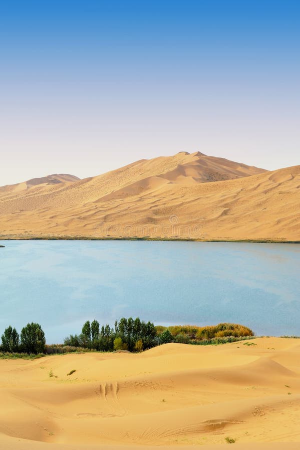 Het meer van de woestijn stock afbeelding. Image of meer - 17132209