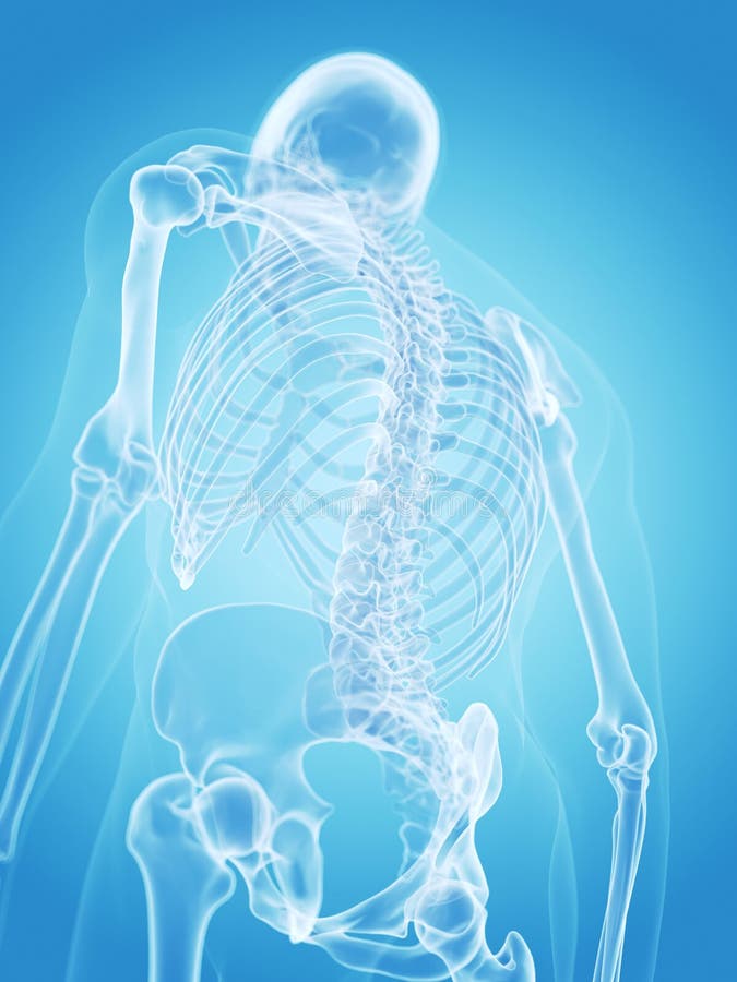 Skeletrug stock illustratie. Illustration of daarna, pectoris - 43014394