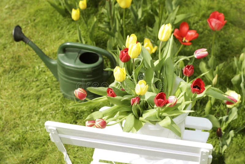 Het Motief Van De De Lentetuin Stock Foto - Image of levensstijl, stoel ...