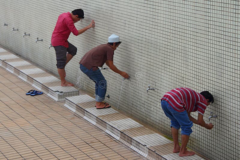 Het nemen van Wassing redactionele fotografie. Image of naturaliseer ...