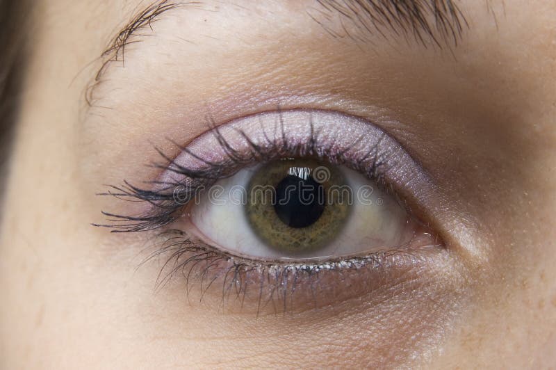 Het oog van de uil stock afbeelding. Image of oogbal, macro - 1101823