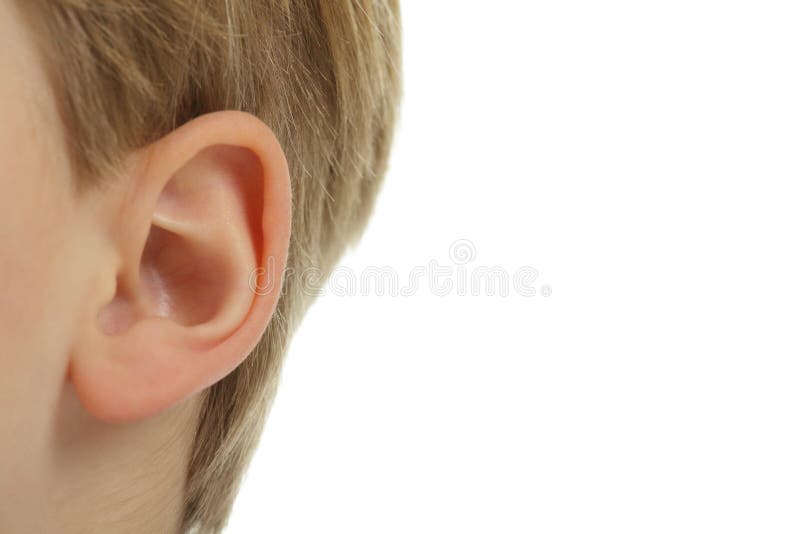 Het oor. stock afbeelding. Image of huid, hoorzitting - 9955849