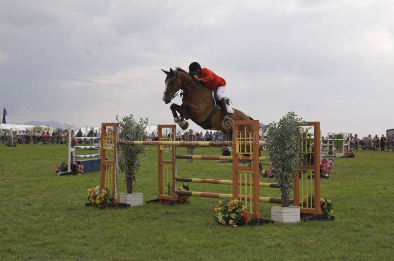 Paard dat 004 springt stock afbeelding. Image of ruiter - 4894937