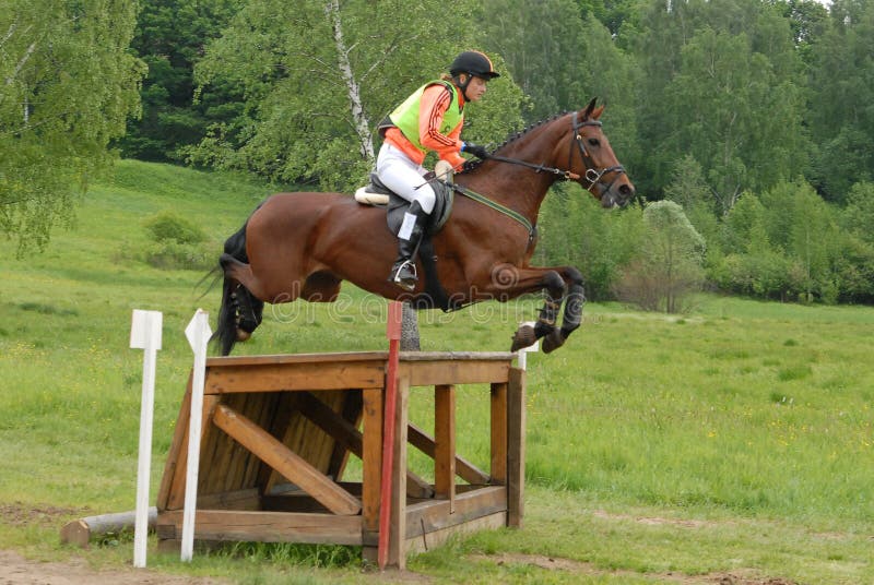 Het Paard Van De Kastanje Het Springen Redactionele Afbeelding - Image ...