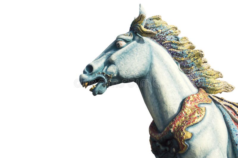 Het paard is woedend stock foto. Image of wolk, hoog - 38832918