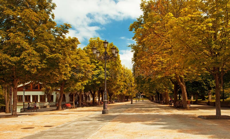 De Herfst in Het Herdenkingspark Van Showa, Tachikawa, Japan ...