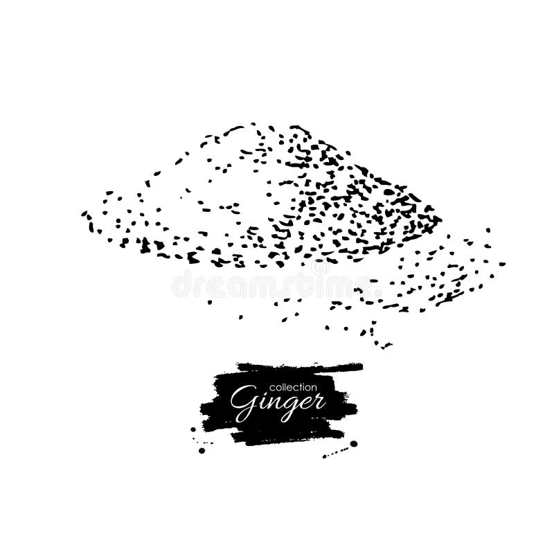 Het Poeder Vectorhand Getrokken Illustratie Van De Gemberwortel ...