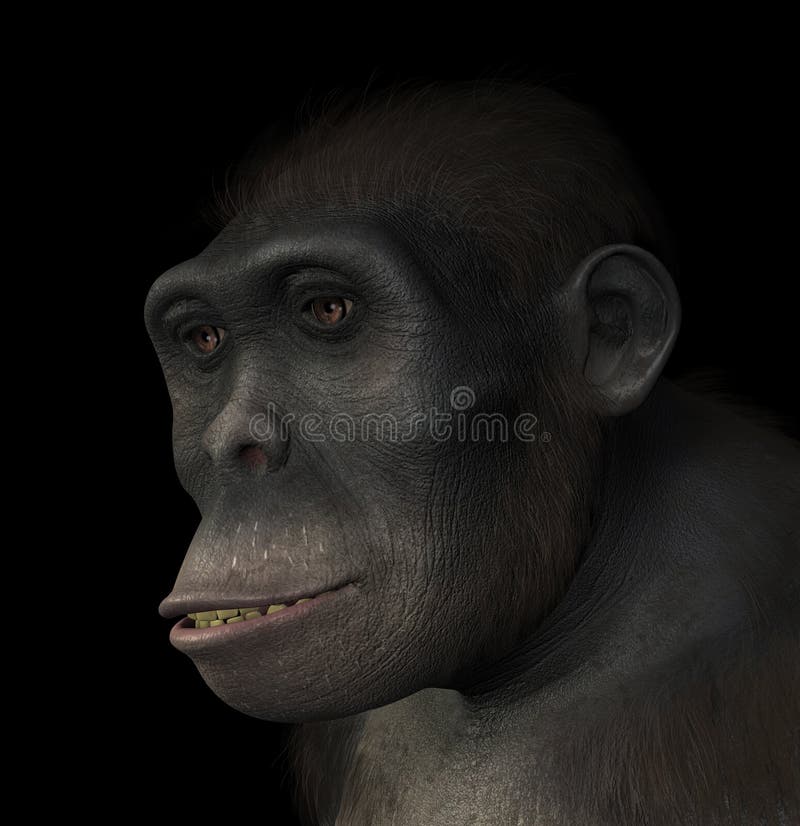 Moderne Vergeleken Mens En De Mens Van Homo Erectus Stock Illustratie ...